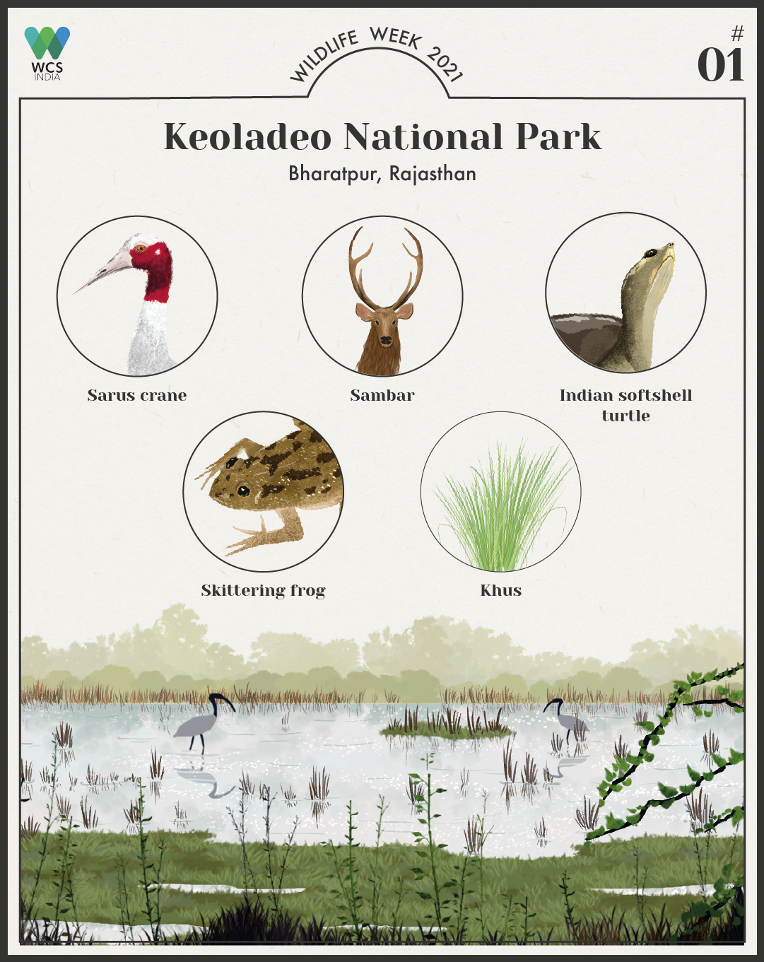 Wildlife Week 2021 > Wildlife Conservation Society - India