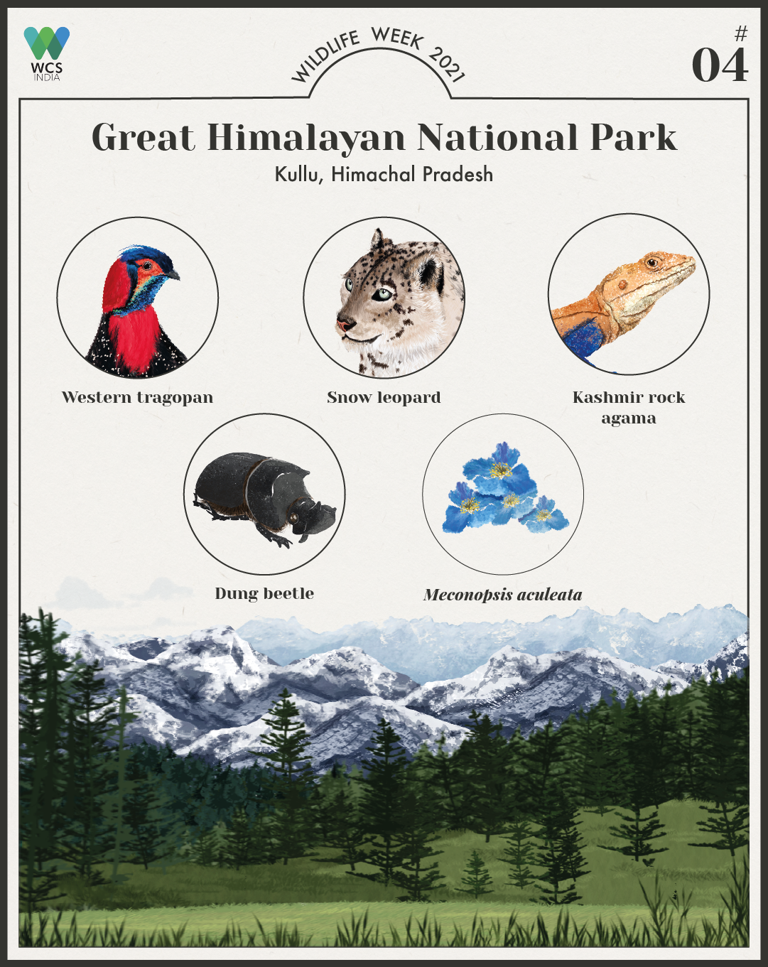 Wildlife Week 2021 > Wildlife Conservation Society - India