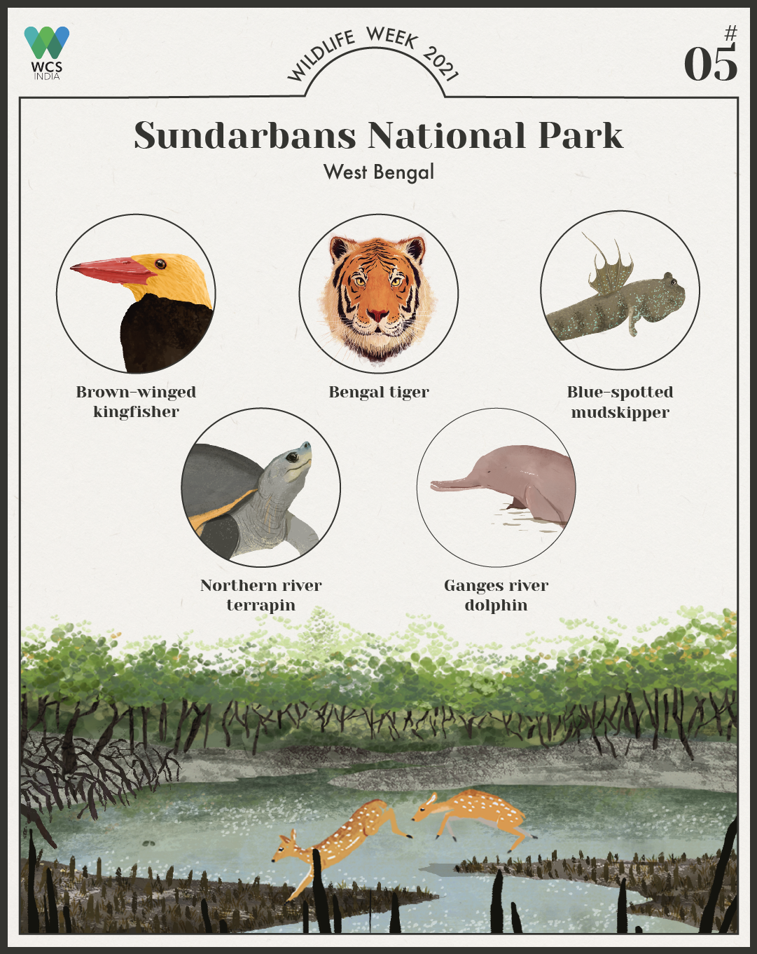 Wildlife Week 2021 > Wildlife Conservation Society - India