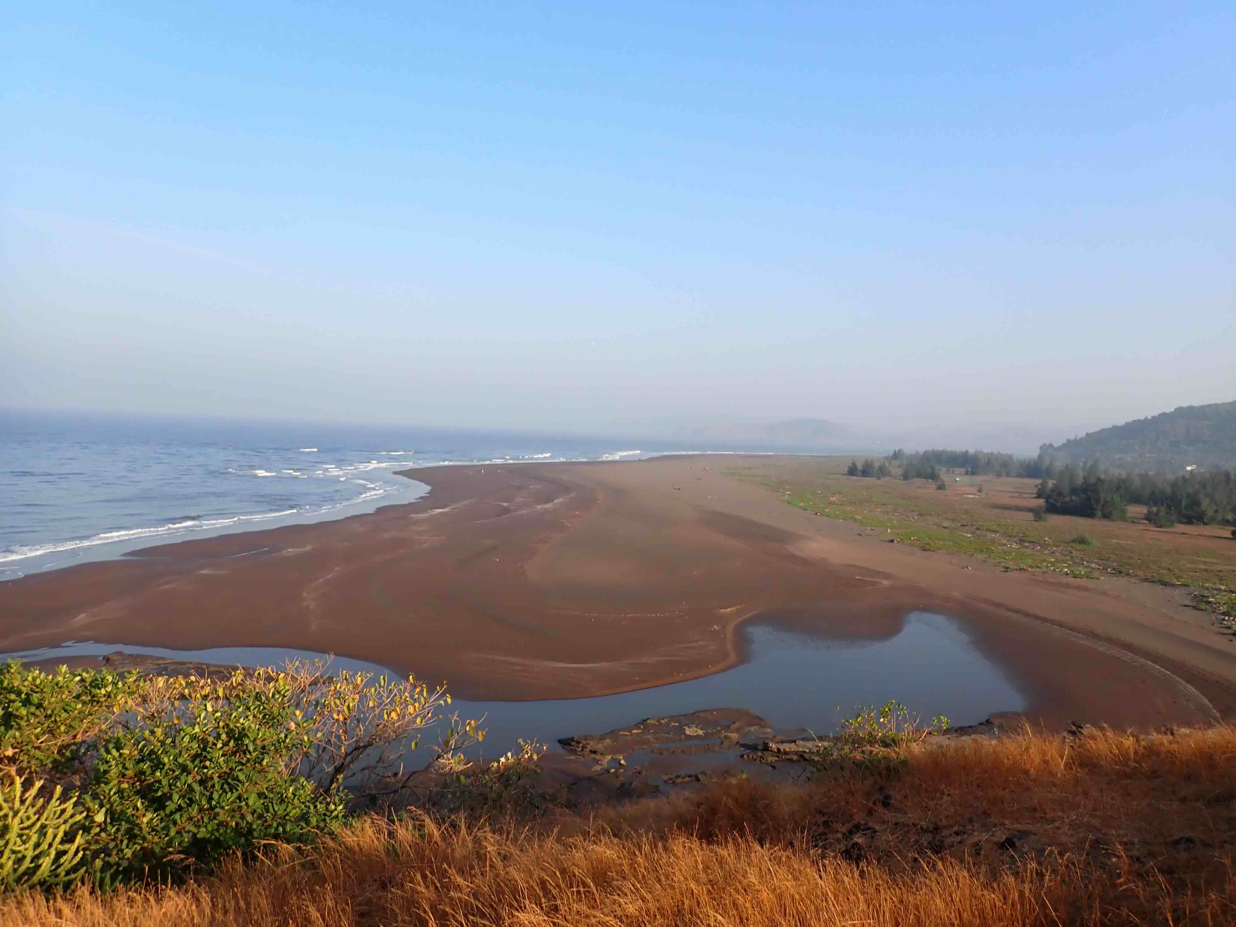 Area Based Management